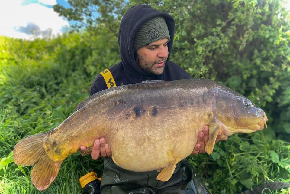 2 Scale | Total Carp